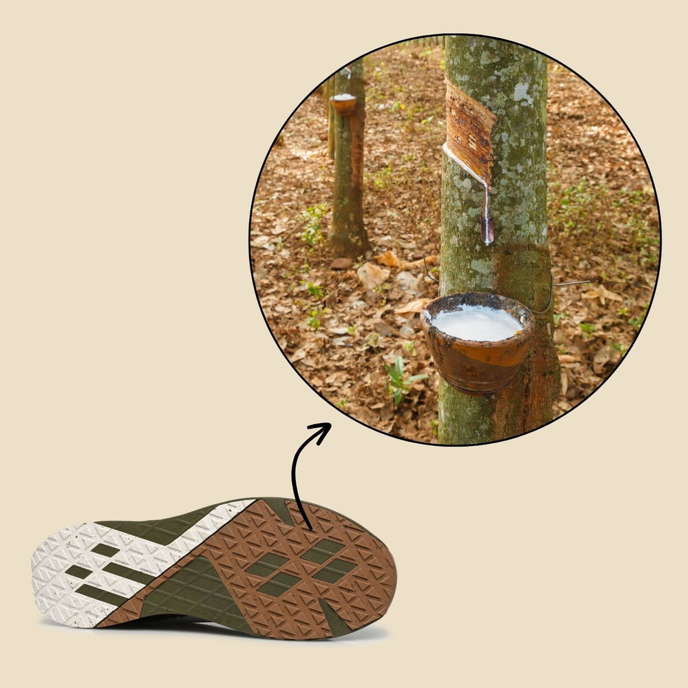 Sustainable Shoes | Eco-Friendly sneakers by SAOLA